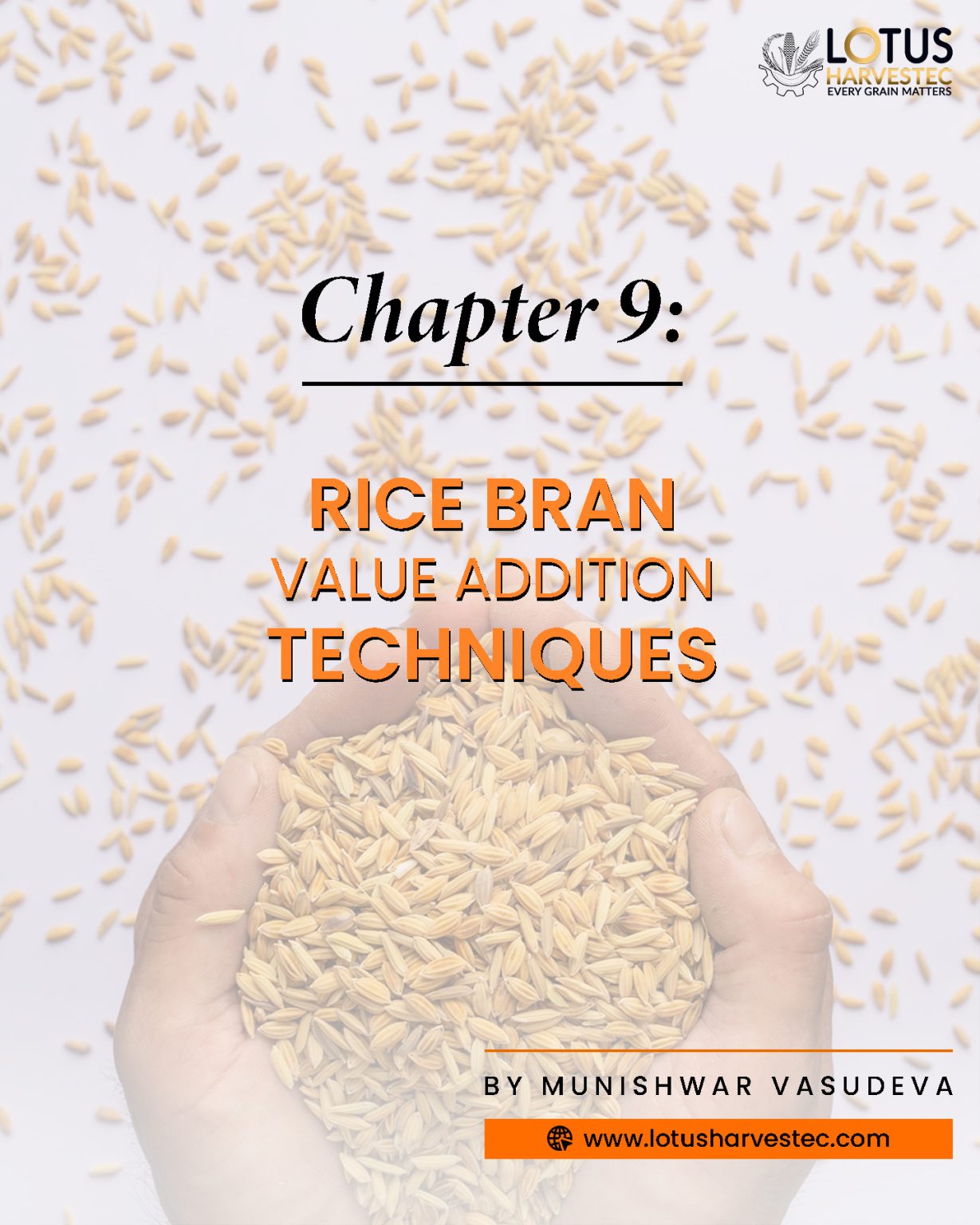 Brown Rice Value Addition Techniques – Lotusharvestec